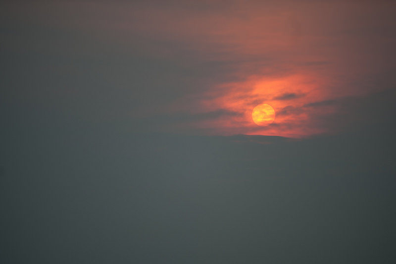 Coming Through the Fire - Her View From Home