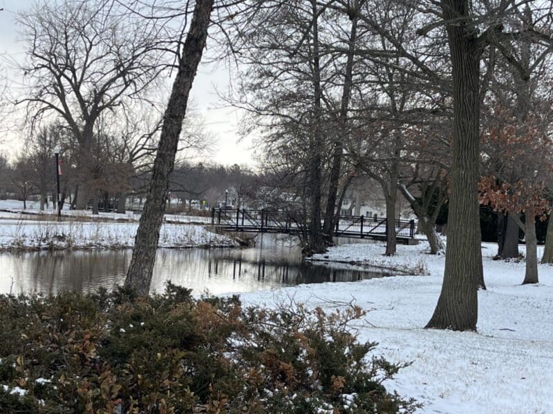 A Foster Family Is a Bridge Made of Love - Her View From Home