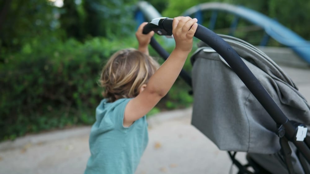 I Learned Firsthand Why You Should Never Let Toddlers Push Their ...